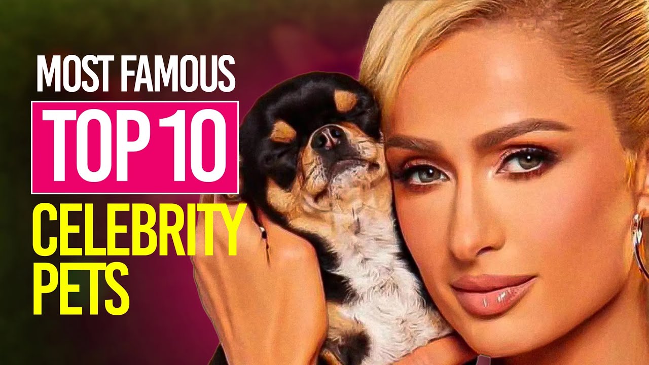 10 Famous Celebrity Pets Have INCREDIBLY LAVISH Lifestyles - YouTube