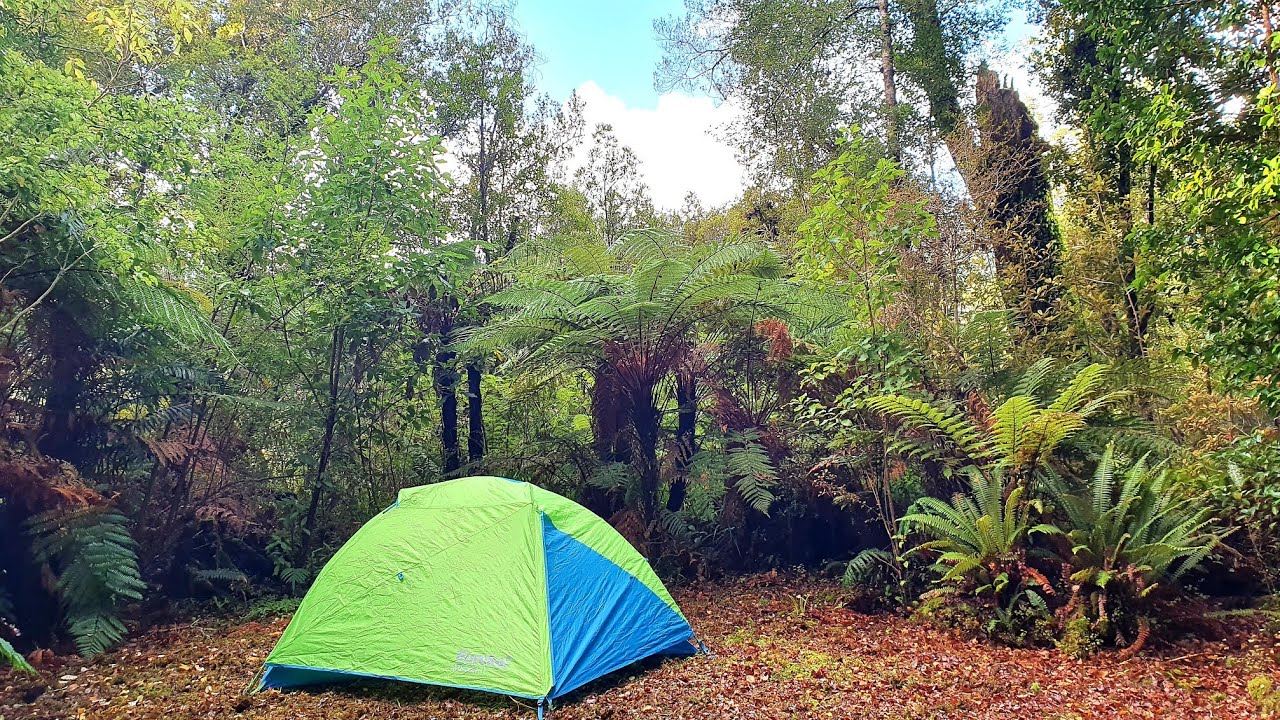 Tent camping in the NZ bush - Hiking and exploring - YouTube
