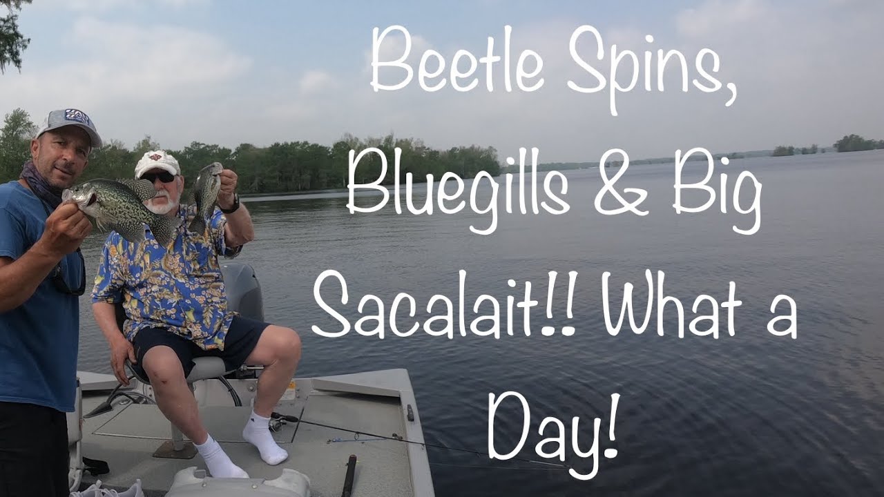 Fishing the Louisiana Swamp #crappies #sacalait - YouTube