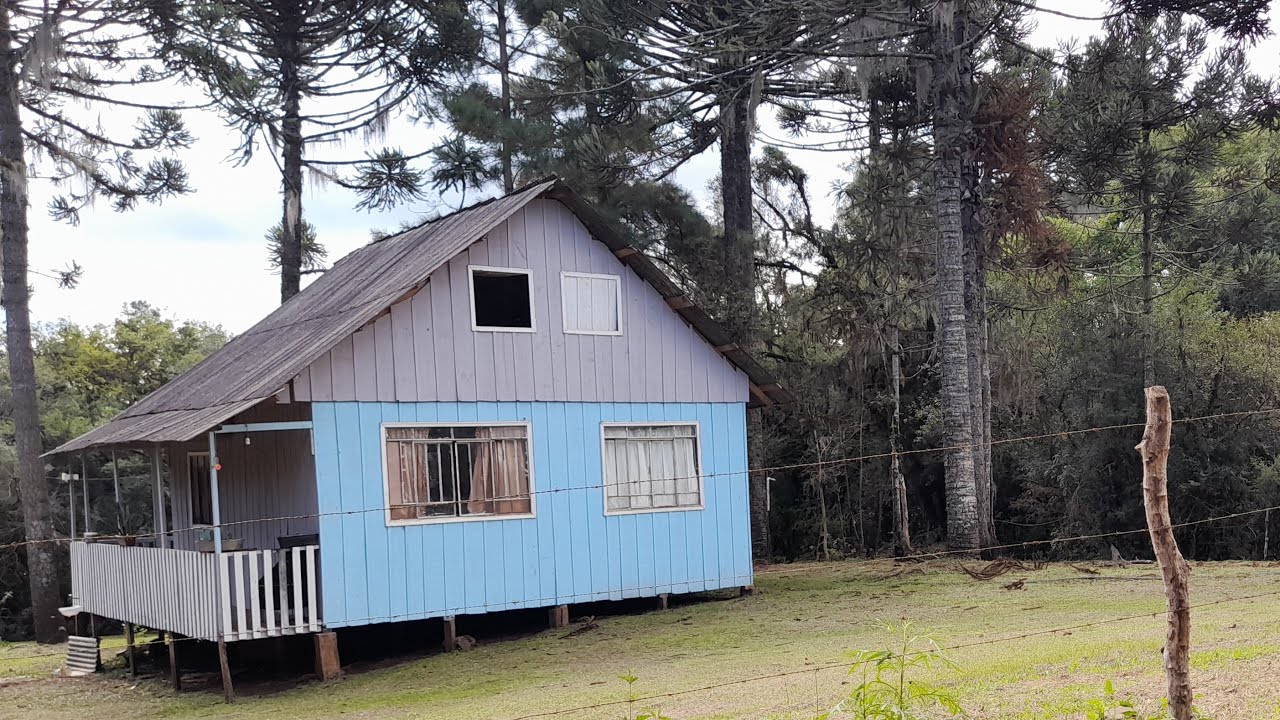 JJ88 AO VIVO FALANDO COM VOCÊ - YouTube