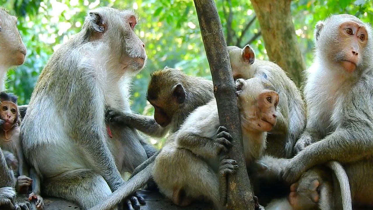 when Jonna out her milk she gave her friend to testing her Mom and if ...