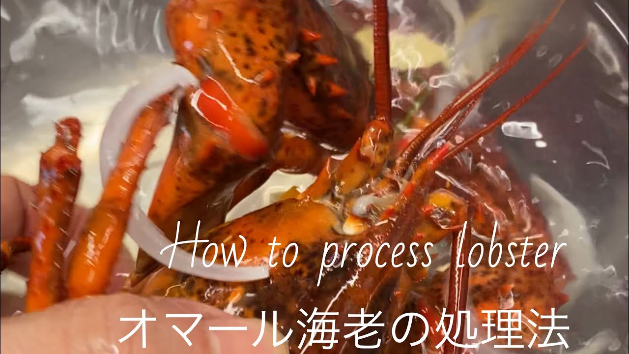 How to process lobsterオマール海老の最良の処理法 - YouTube