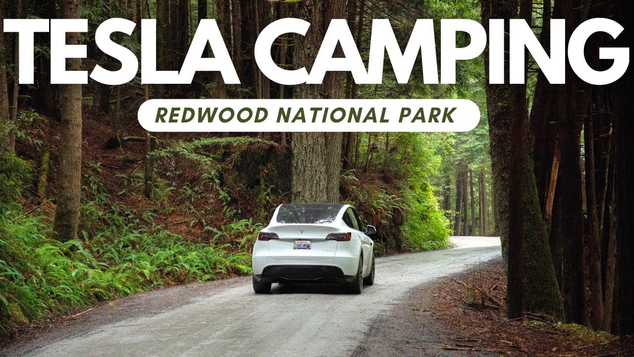 TESLA CAMPING in REDWOOD NATIONAL PARK - Road trip from LOS ANGELES to ...