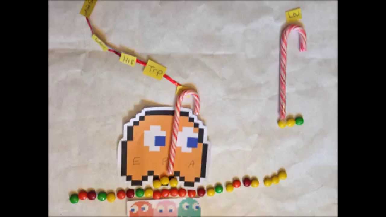 AP Bio Protein Synthesis Project, "Pacman Christmas" - YouTube