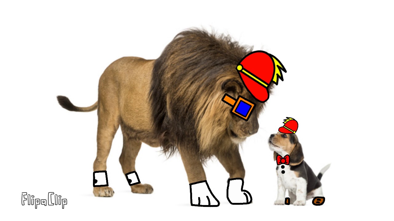 fleegle and drooper as real beagle and lion🐶🦁ÒwÓ - YouTube