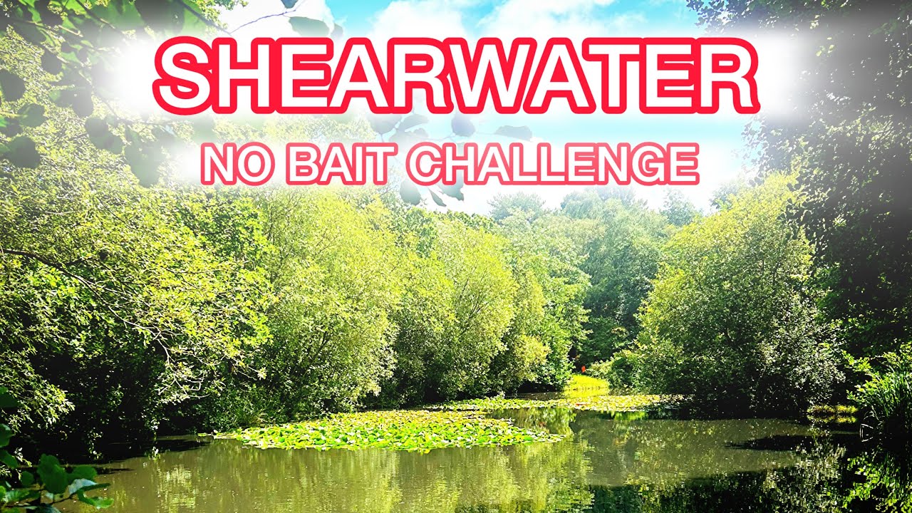 Things didn’t go to plan at Shearwater! No bait challenge! - YouTube