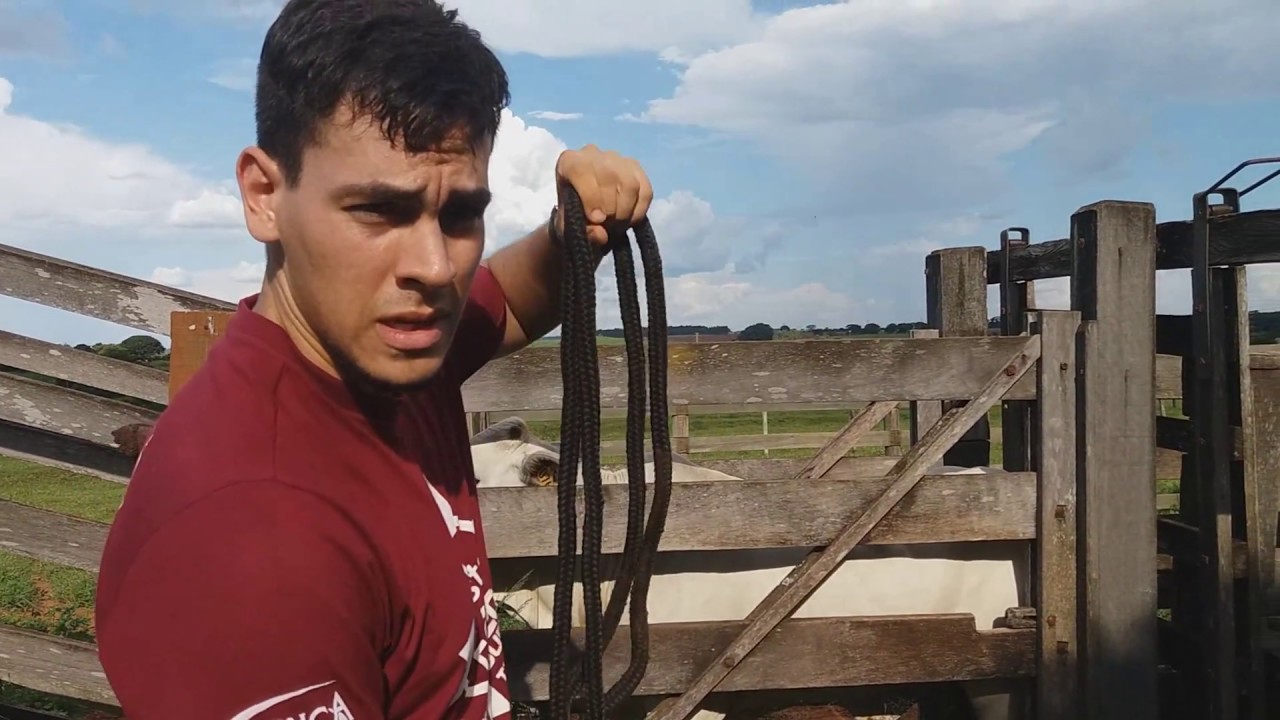 Vida Rústica #27 - Flagelo e sua pata, Situações de dentro do Brete ...