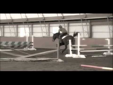 Tribute to True Prospect Farm - YouTube