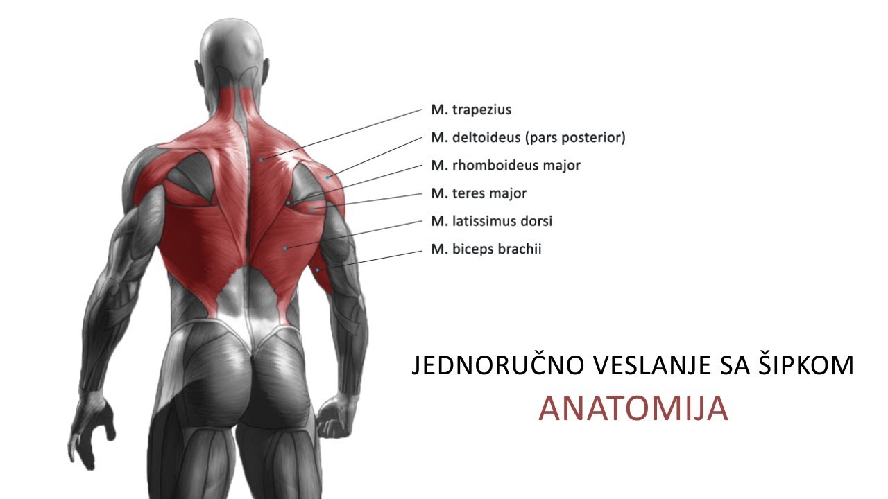 VEZBE ZA LEĐA KOJE DO SADA NISTE PROBALI - YouTube