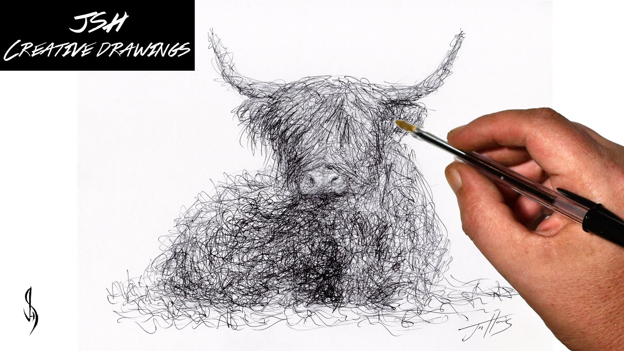 How to Scribble Draw a Highland Cow with a Ballpoint Biro Pen - YouTube