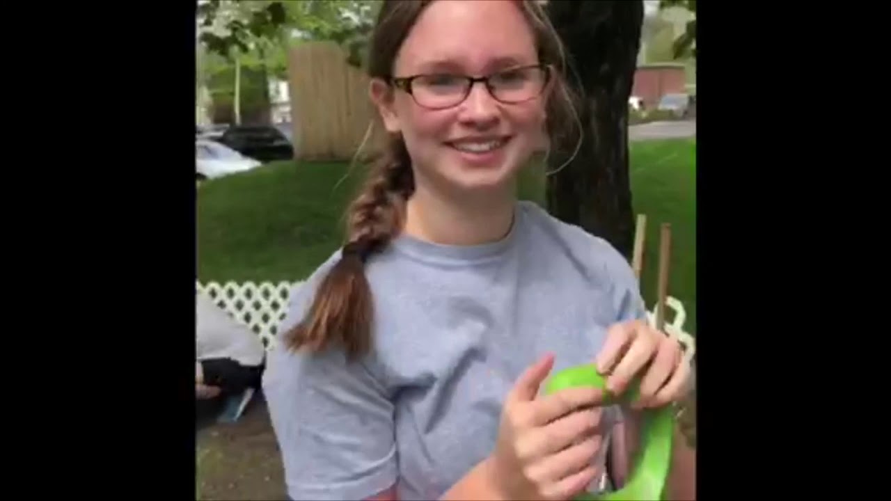 Lavender day 1 - YouTube