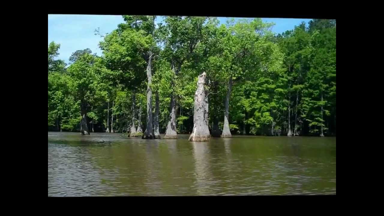 Kayaking in Stumpy Lake - YouTube