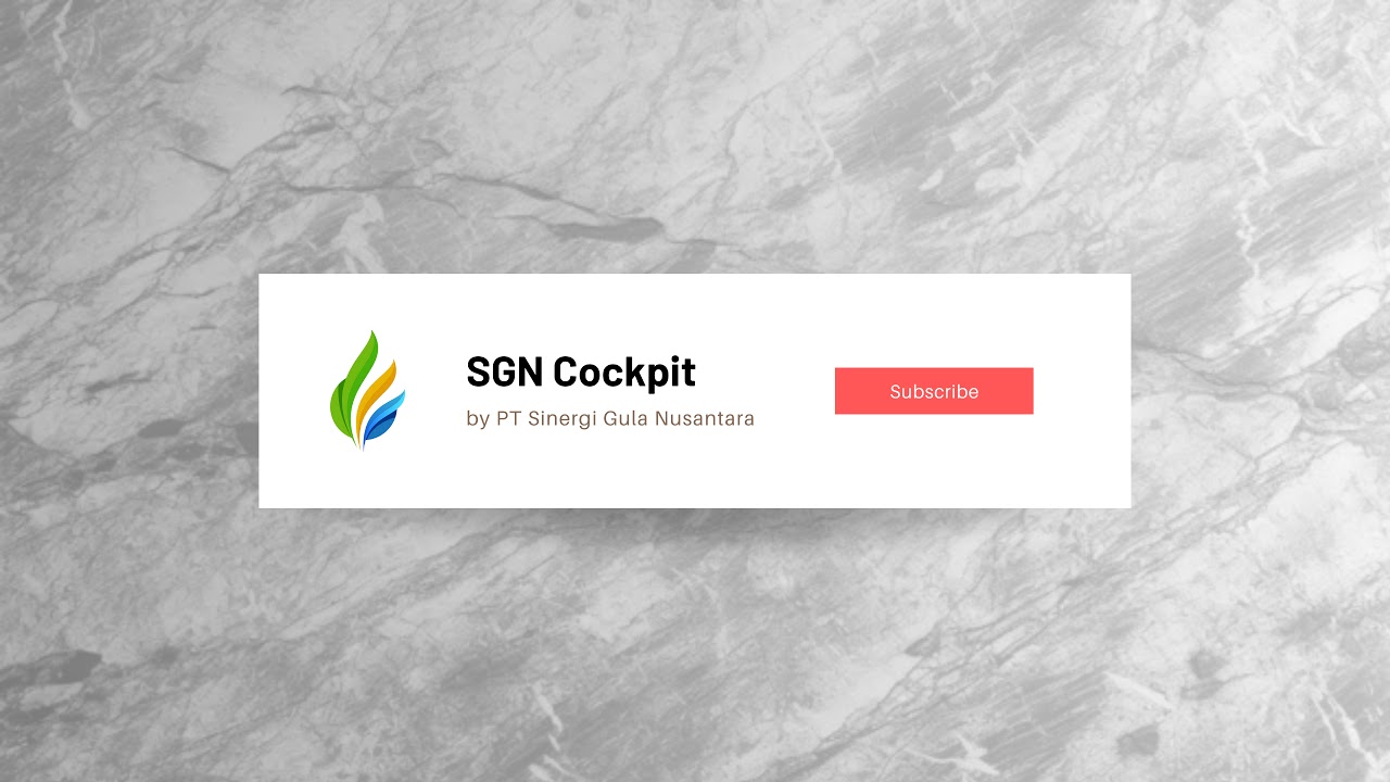 SGN Cockpit 6 Live Stream - YouTube