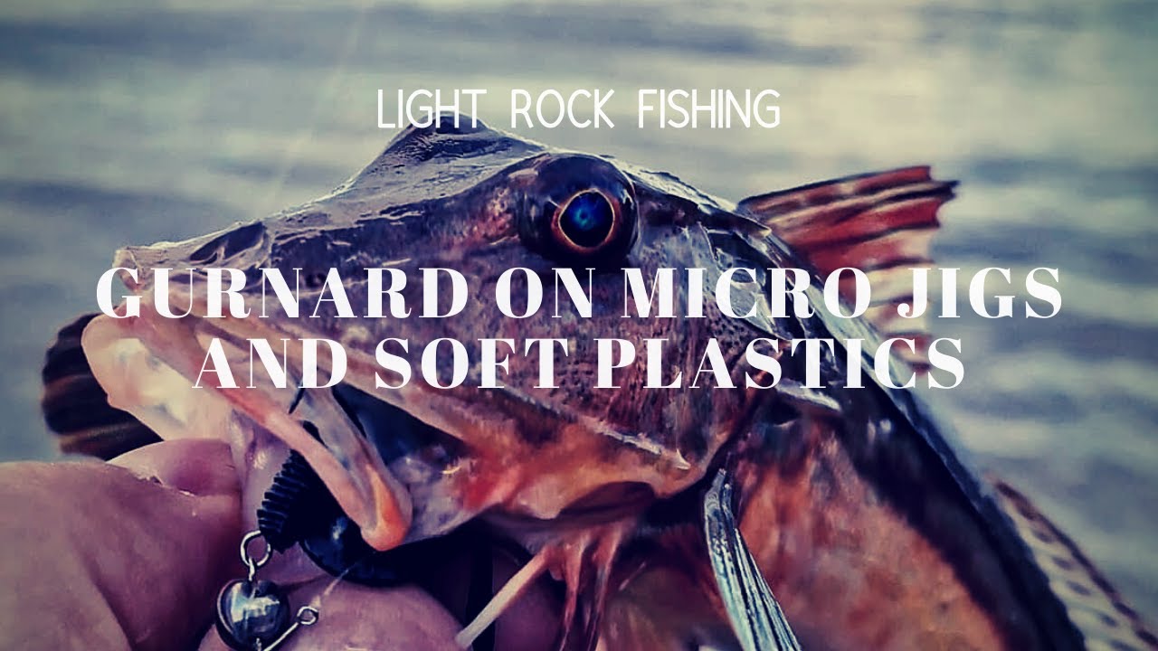 Light Rock Fishing - Gurnard on Micro Jigs and Soft Plastics - YouTube