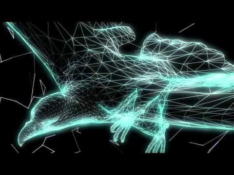 bird sky [VJ MATERIAL by Astronomical]