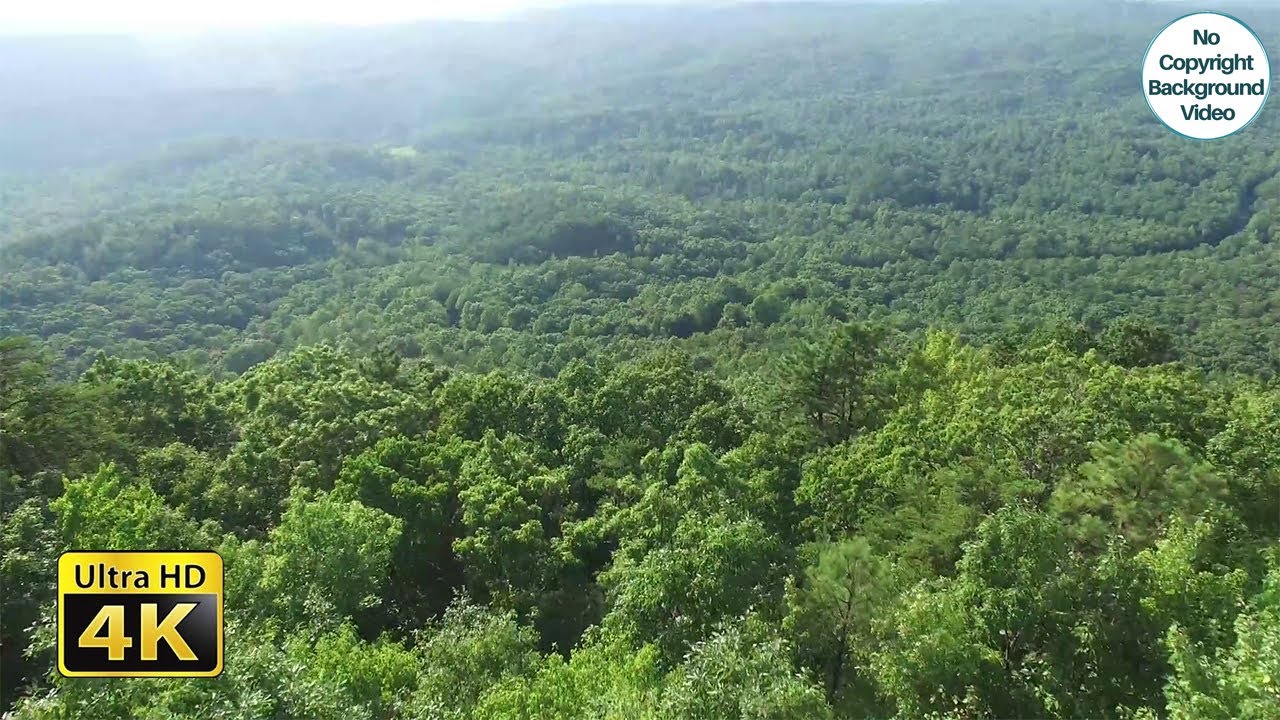 Mountains Forest Trees Aerial View | Nature Background Video 4K Loop ...