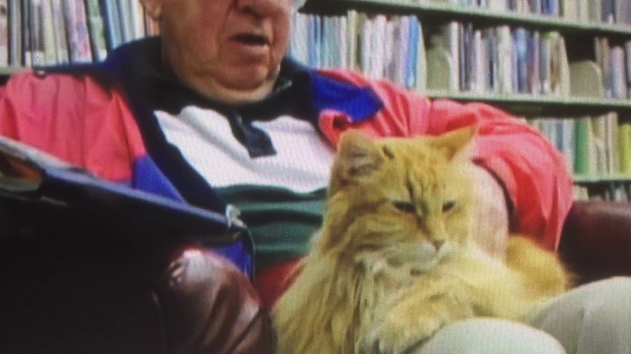 Tribute to Dewey Readmore Books - YouTube