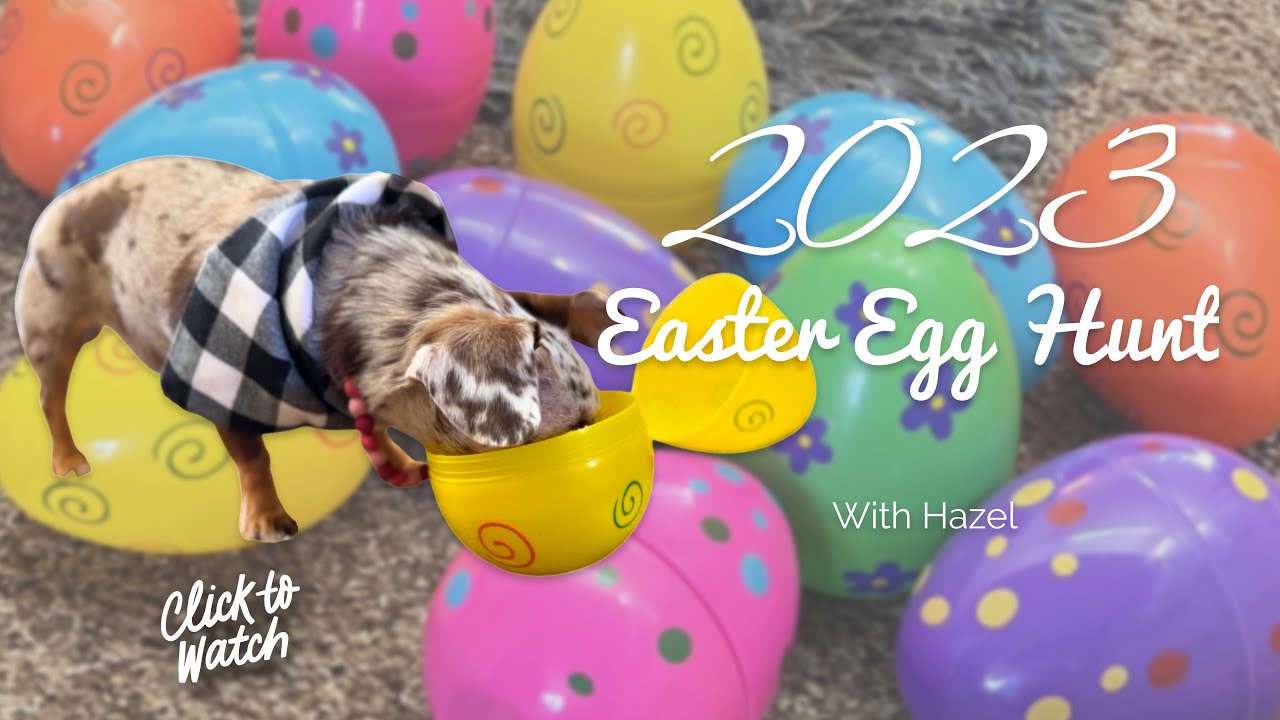 Hazel’s 2023 Easter Egg Hunt! - YouTube