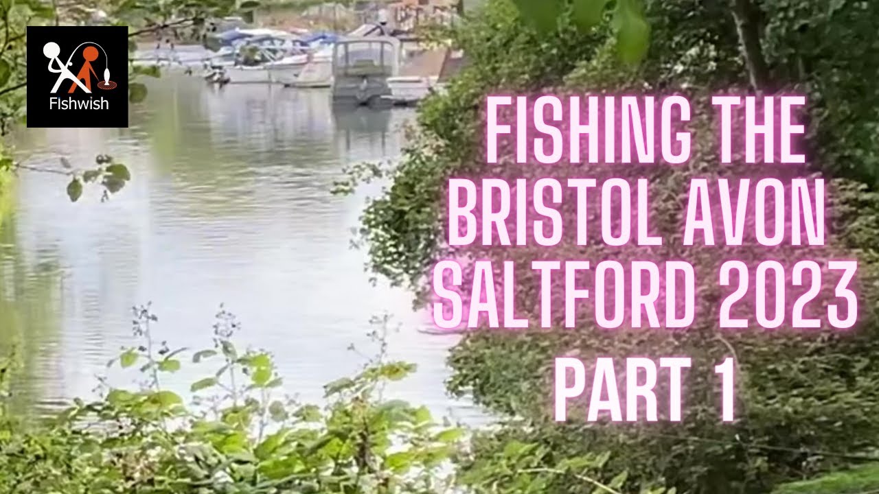 Fishing the Bristol Avon at Saltford - Part 1 - A New Swim - YouTube