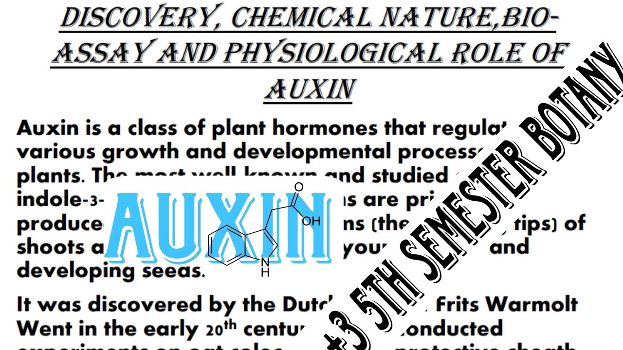 Discovery,Chemical nature,Bio-assay, physiological role of Auxin plant ...
