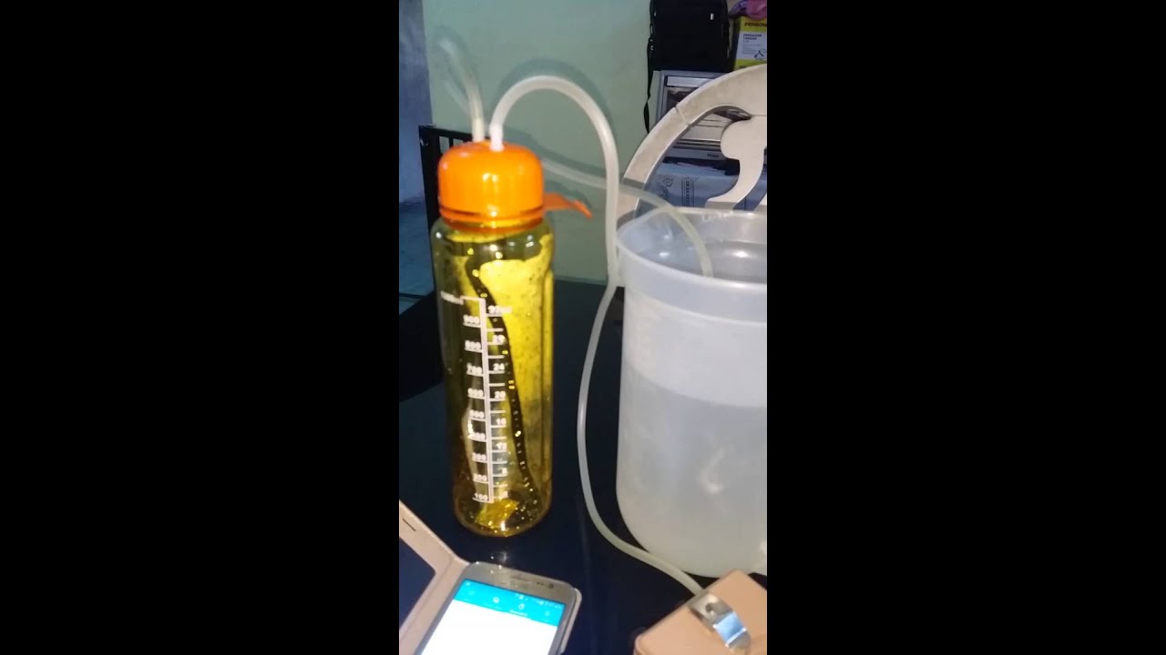 Pam sedut madu - YouTube