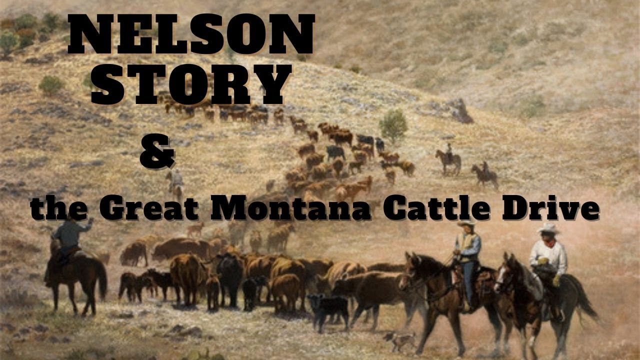 Nelson Story & the Great Montana cattle Drive - YouTube