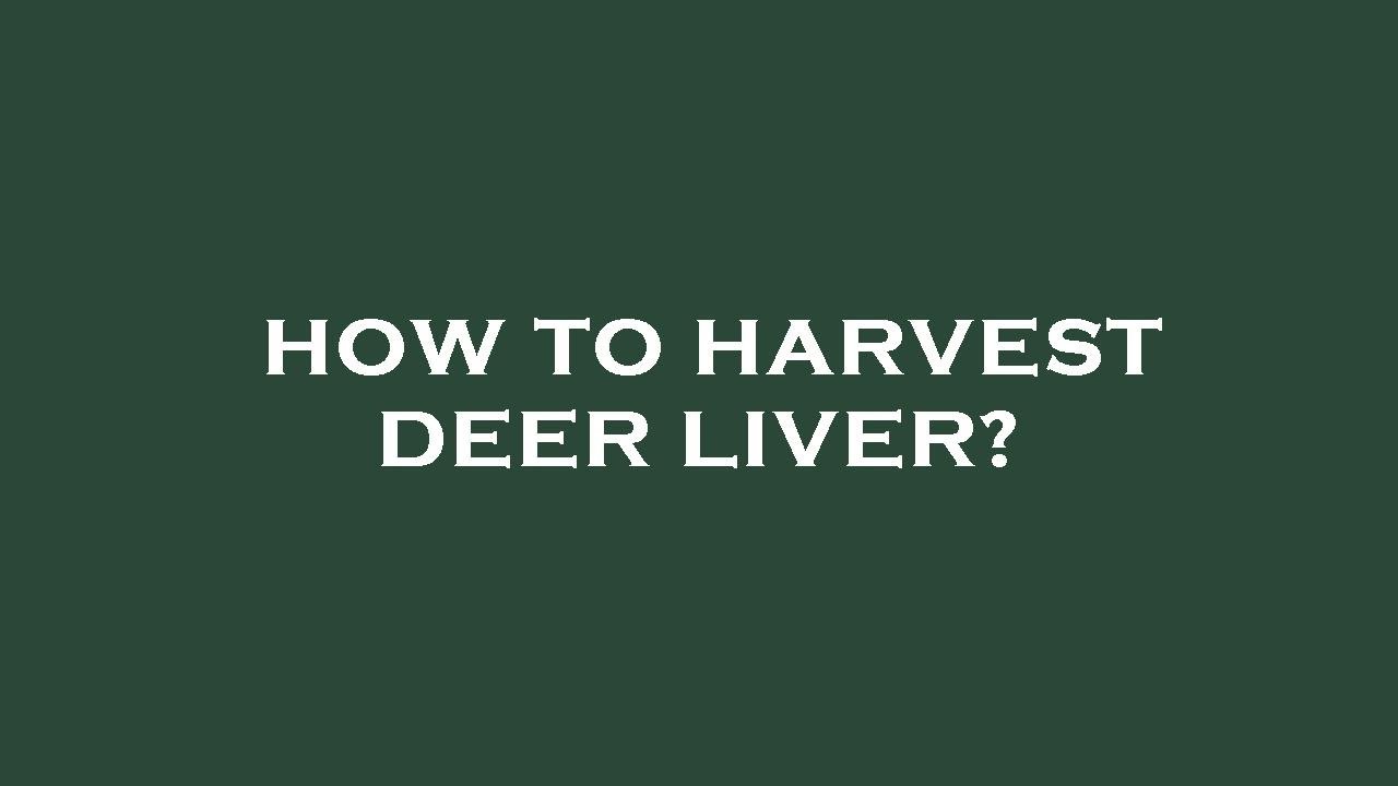How to harvest deer liver? - YouTube