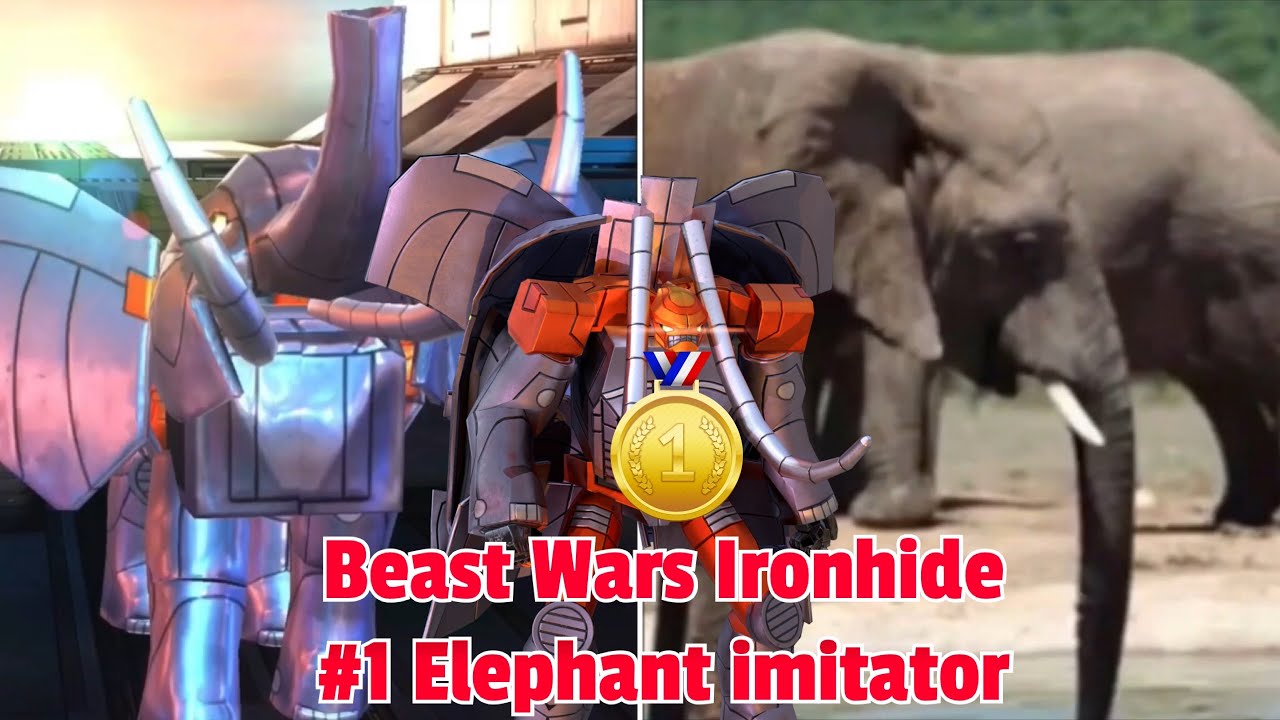🦝Beast Wars Ironhide, #1 🥇 Elephant Imitator🐘🐘🐘🐘🐘🦝 - YouTube
