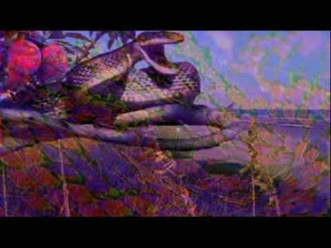 01 - Snake Language Part One - YouTube