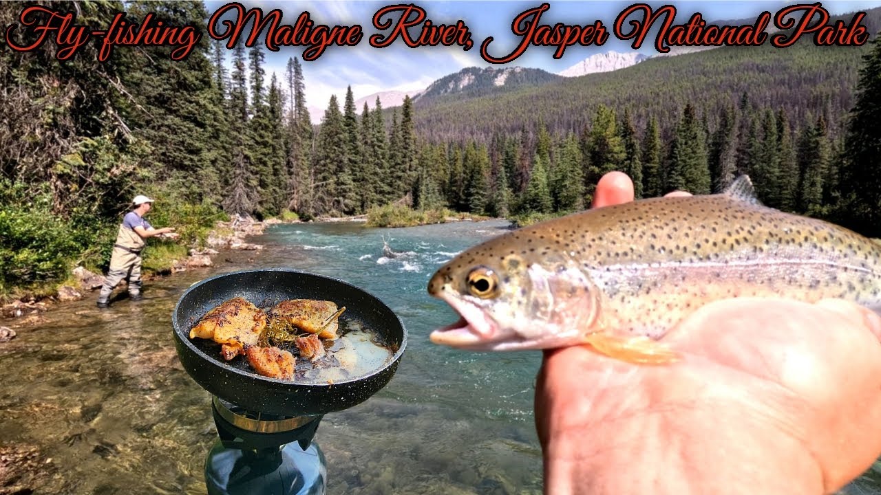 Fly-fishing Maligne River, Jasper National Park (Catch&Cook) #jasper # ...