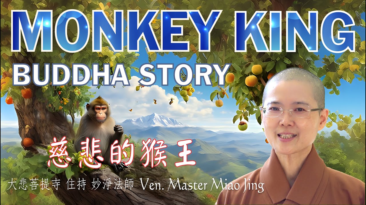 Story of Compassionate Monkey King | The Past Life of Buddha | 佛陀本身故事 ...