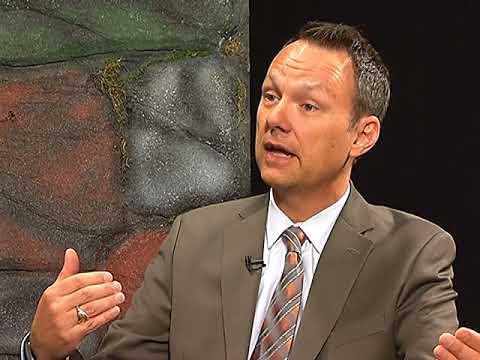 Practical Law Interview with Michigan Adoption Attorney Dion Roddy ...