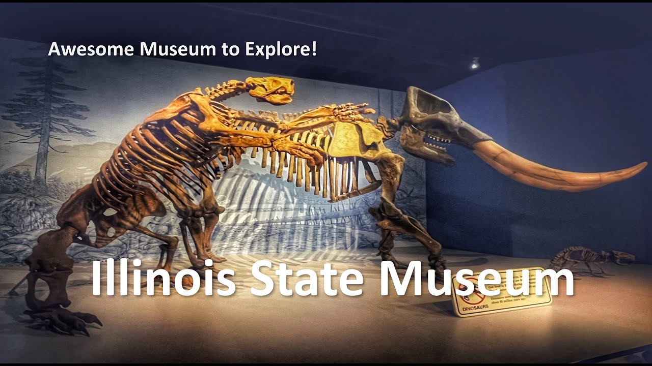 Illinois State Museum – Springfield, IL | A 4K Museum Walking Tour ...