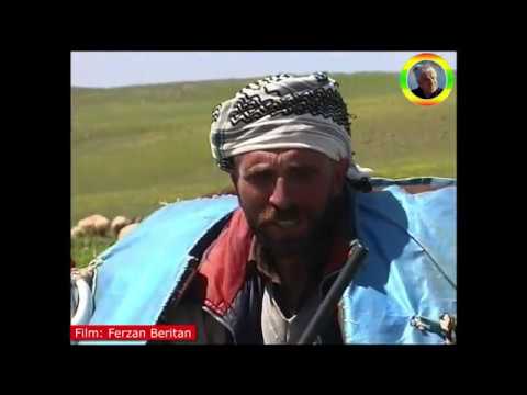 #Beritan #Aşireti #Eşira #Bertiyan #Beritan #Tribe #NomadsinTurkey,