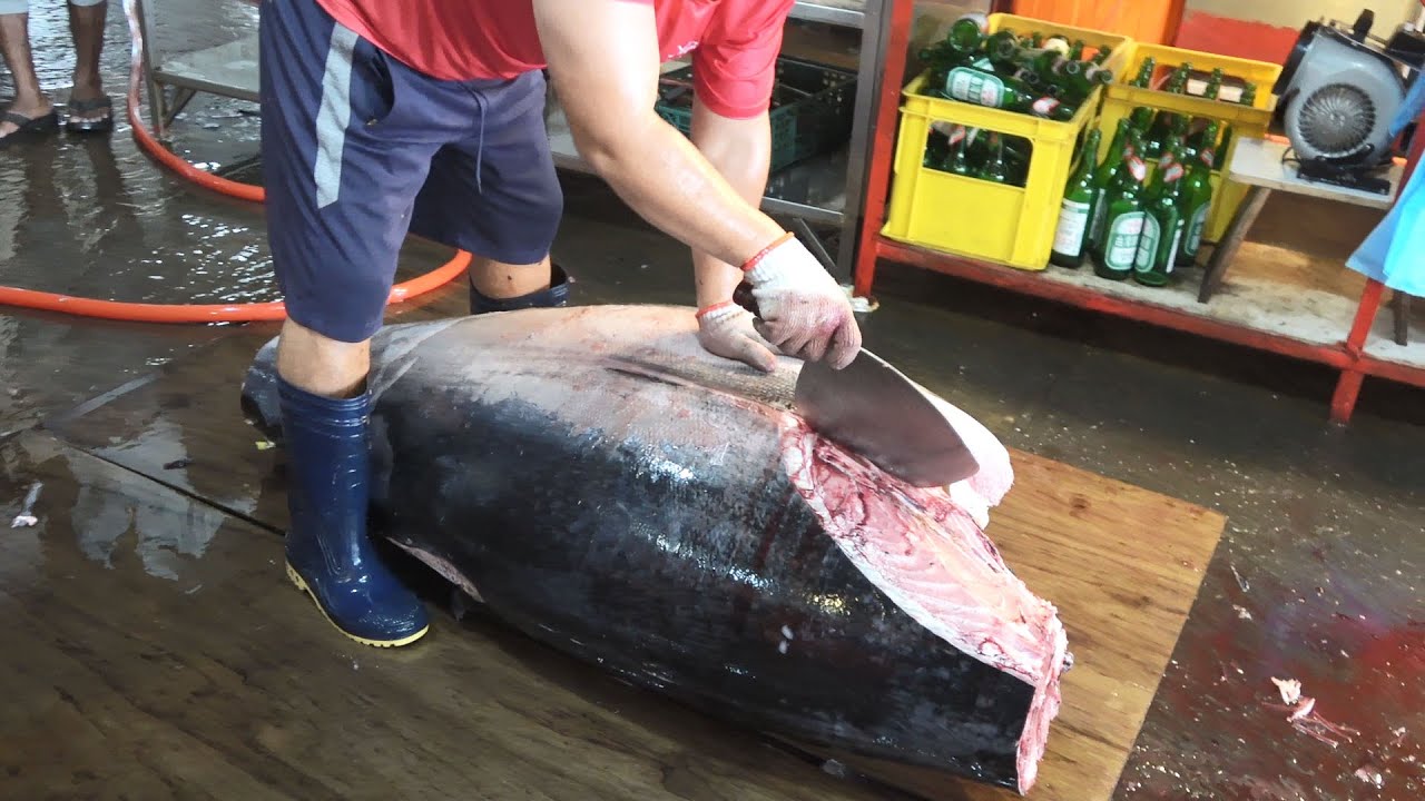 How an chef turns fresh fish into a luxurious sushi meal - YouTube