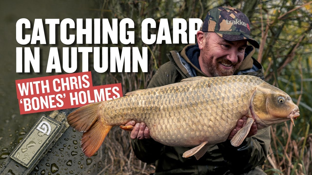 Catching Carp in Autumn at Linear Fisheries' Guys Syndicate - YouTube