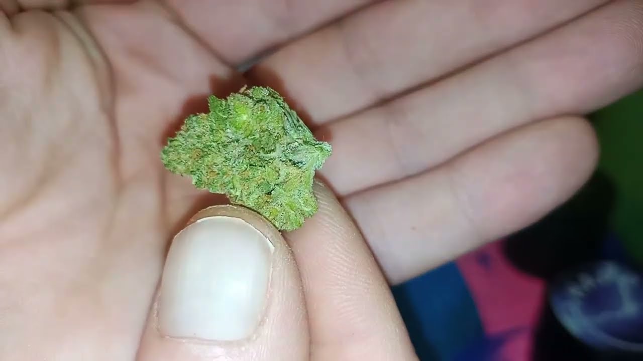 Enua 30/1 Dark Shadow Haze - YouTube