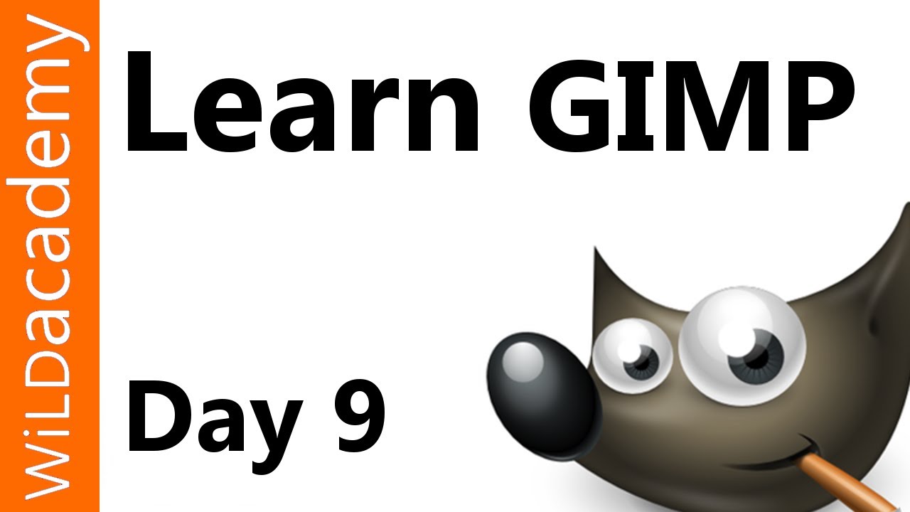 Learn GIMP Tutorial - Day 9 - How to Swap Faces in GIMP - YouTube