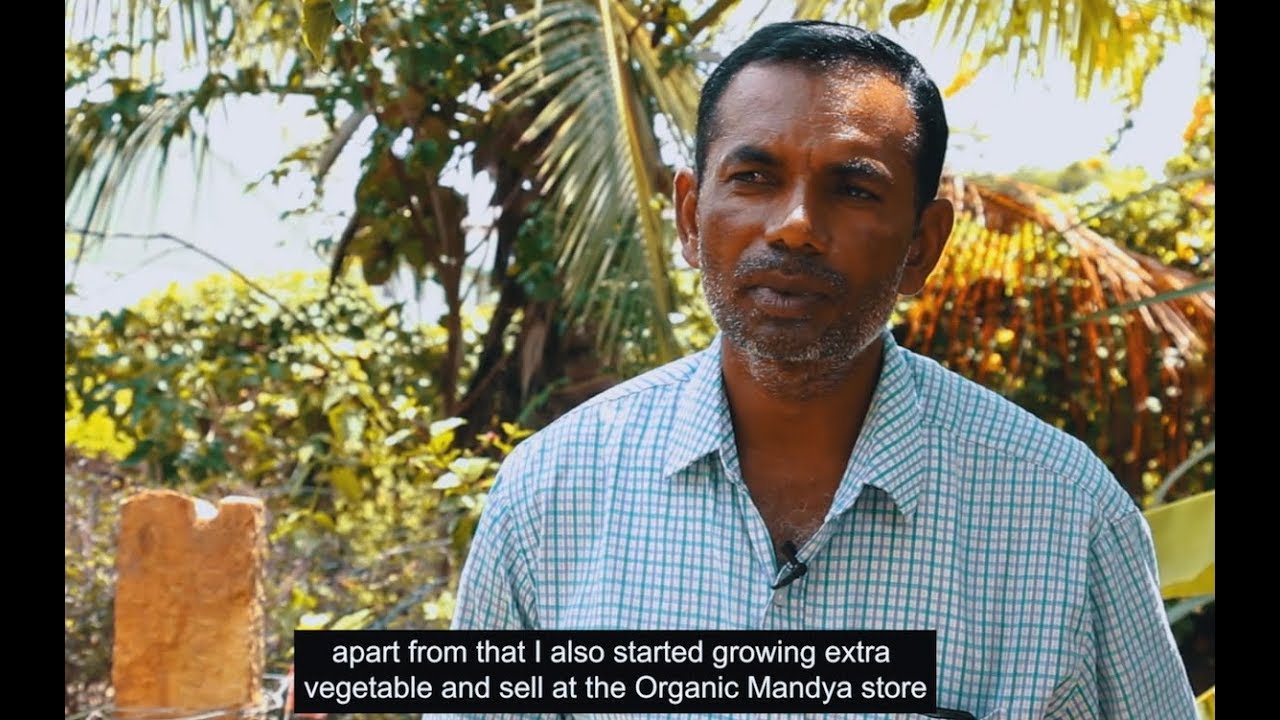 Organic Mandya Through The Eyes of The People - YouTube