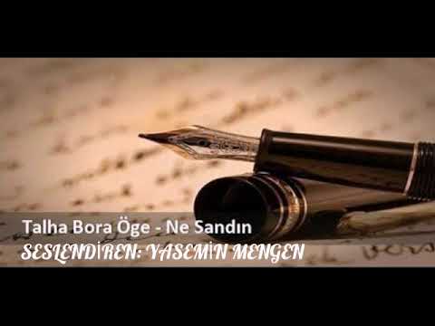 TALHA BORA ÖGE - NE SANDIN