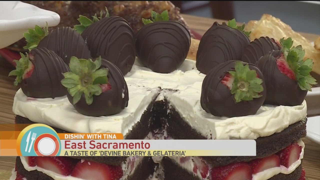 Dishin' with Tina: Devine Bakery & Gelateria - YouTube