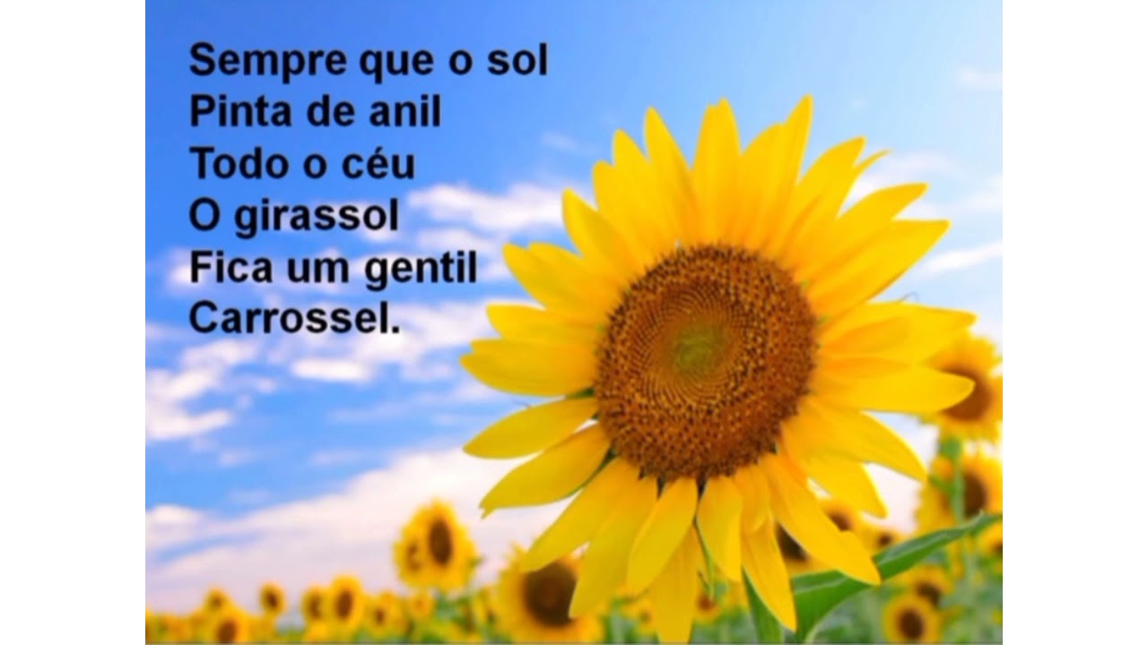 Poema O Girassol De Vinícius De Moraes - REVOEDUCA