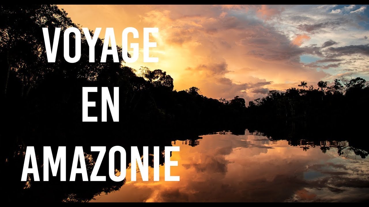 Voyage en Amazonie - SPIRIT OF AMAZONIA - [Colombie - Travelmotiv ...