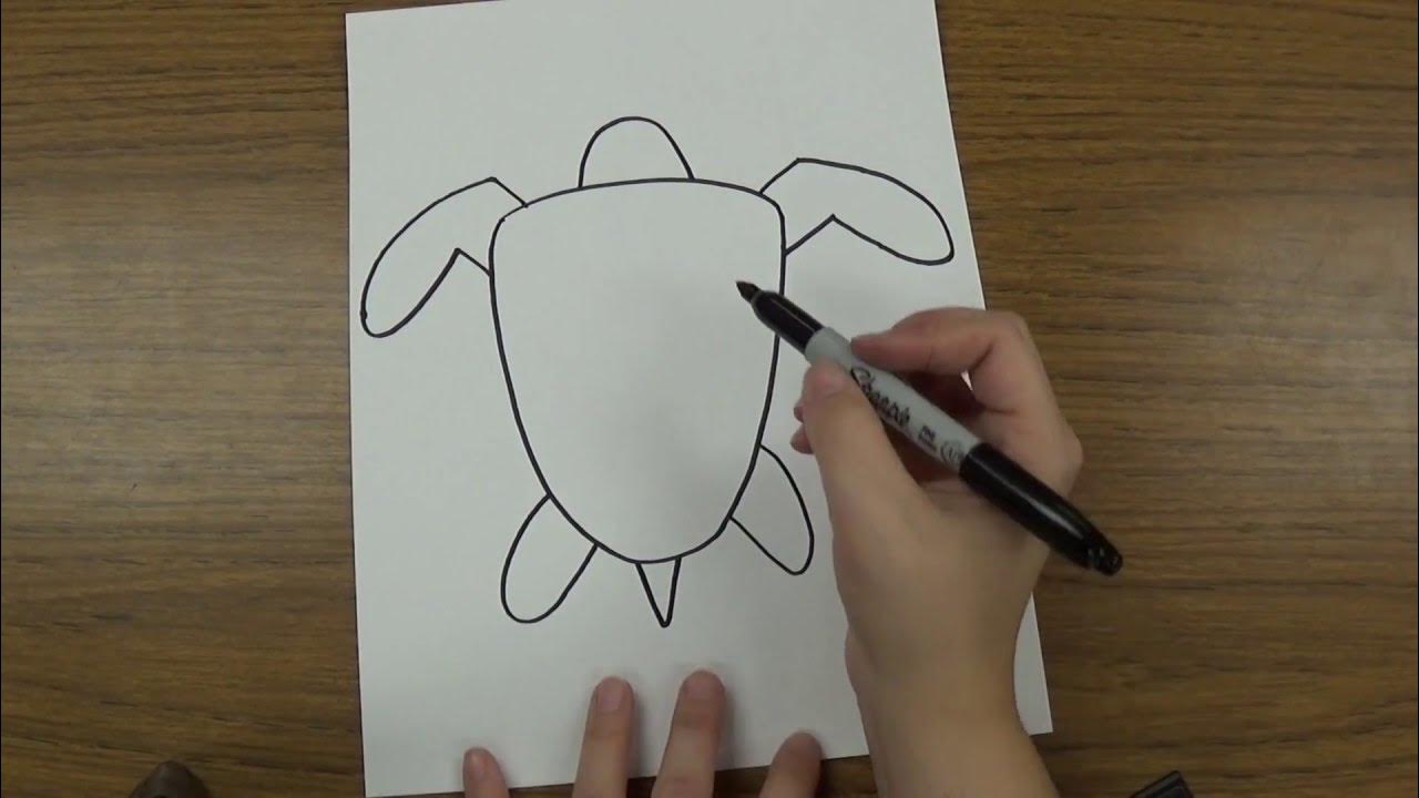 How to Draw a Sea Turtle - YouTube