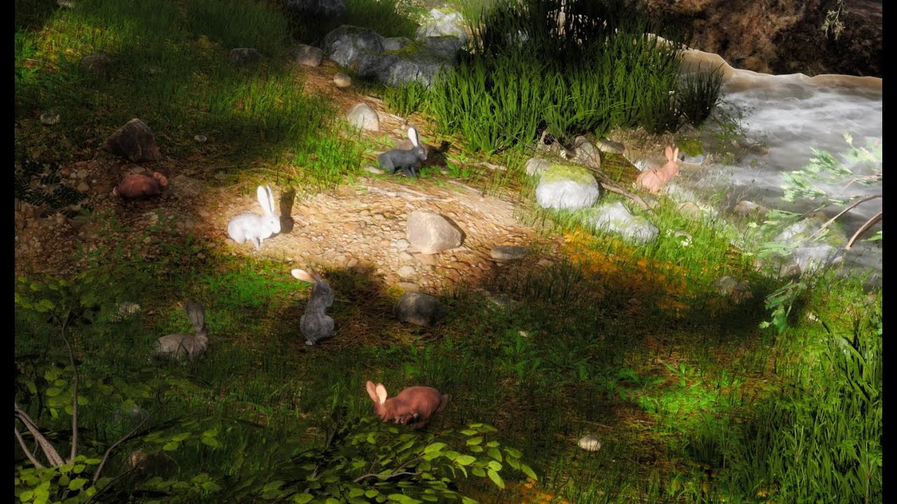 Peaceful Rabbit Haven Ambience | Relaxing Stream and Birdsong Sounds ...