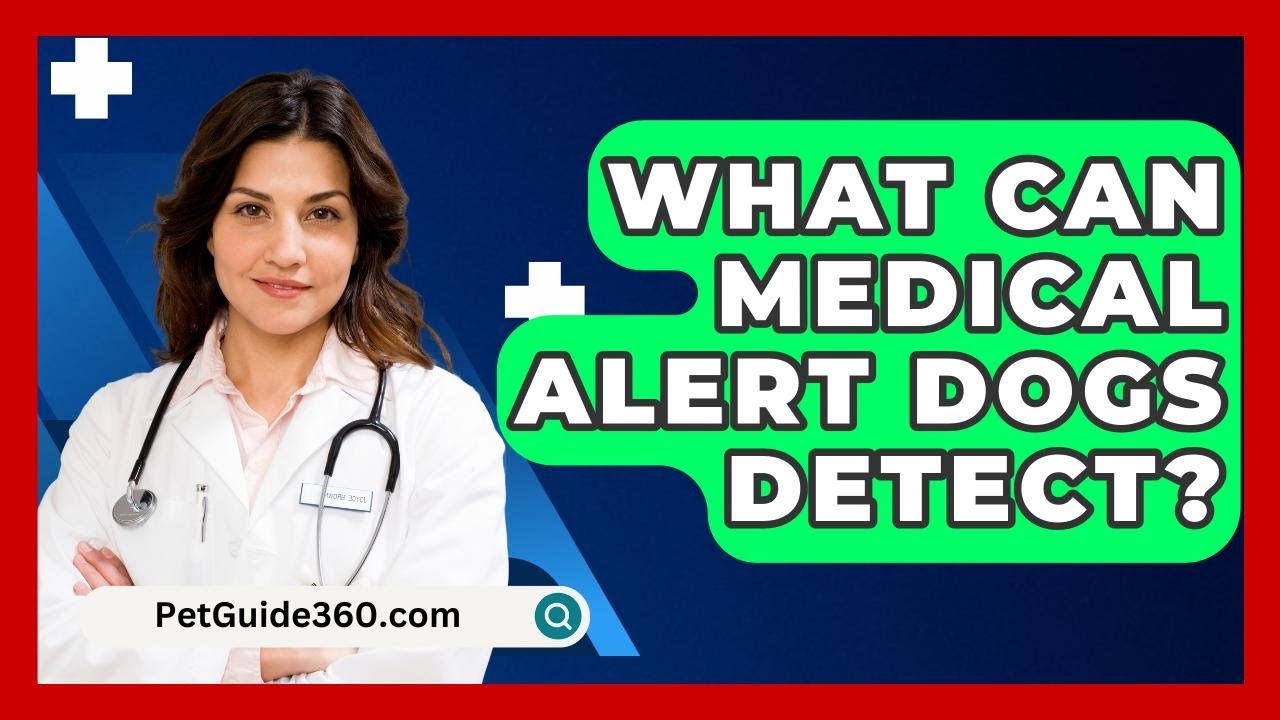 What Can Medical Alert Dogs Detect? - PetGuide360.com - YouTube