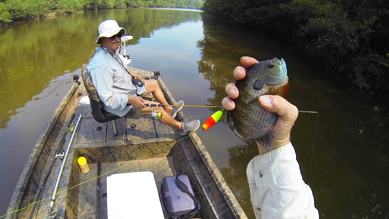 Mid-Summer Bream Fishing on the Pee Dee River! - YouTube