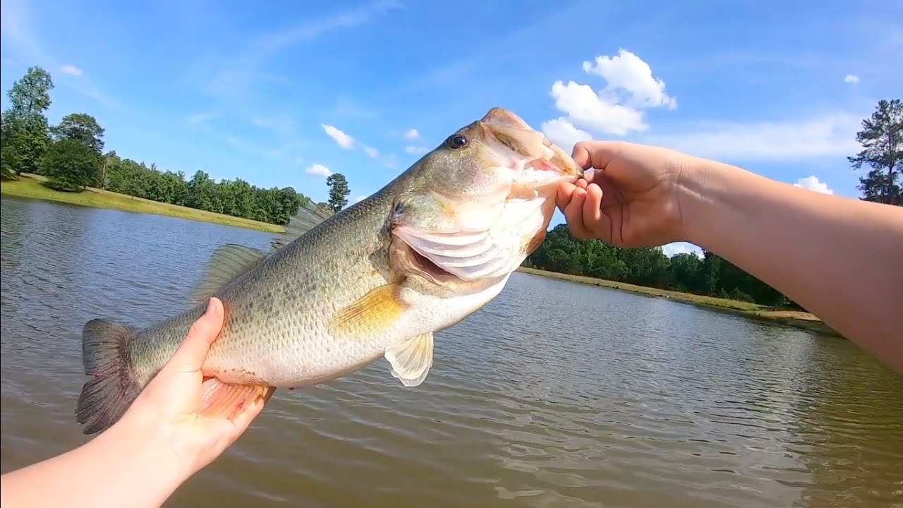 Generic Fishing Video - YouTube