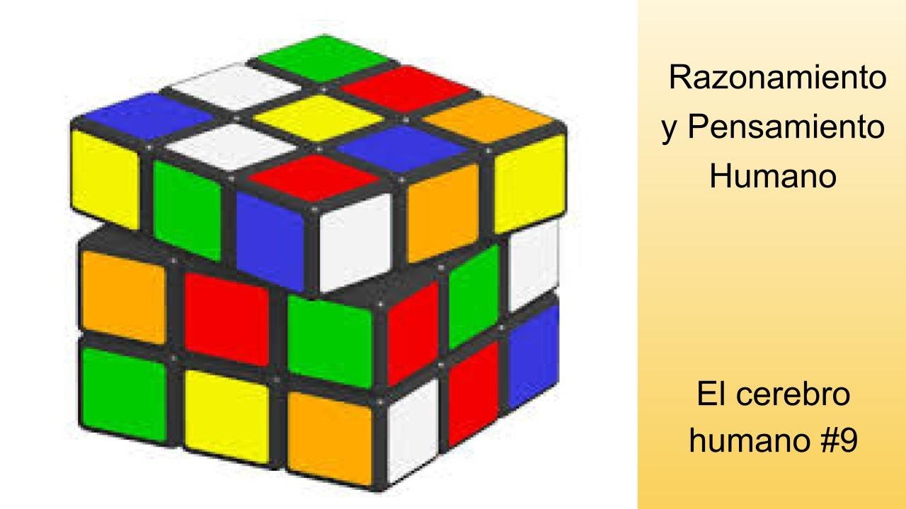 El cerebro humano#9 - Razonamiento y Pensamiento Humano - YouTube