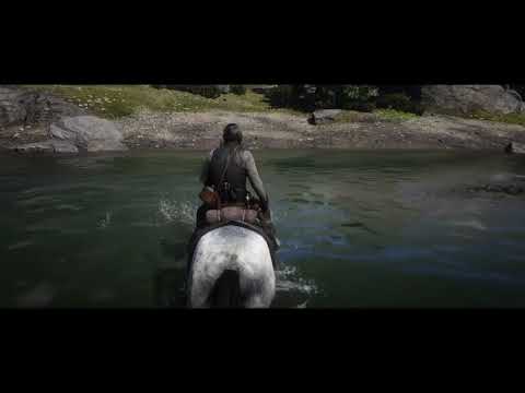 Horse Balls